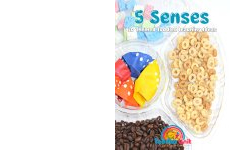 Toddler Unit Lesson Plans - 5 Senses